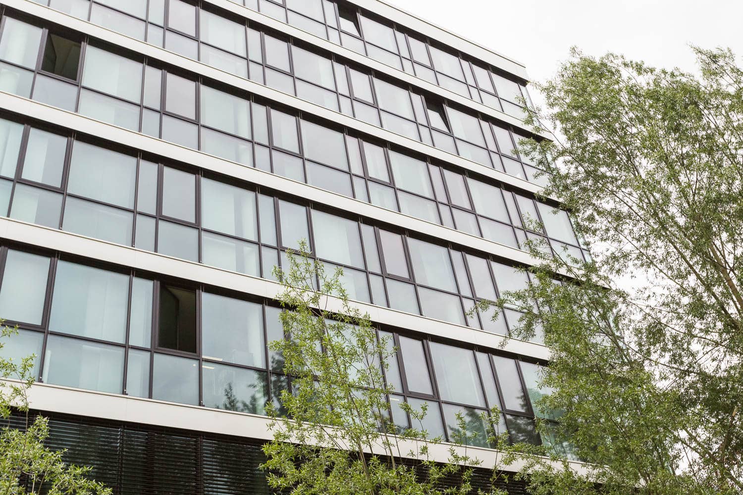 IT-Informatik Ulm - Blautal Bauunternehmen GmbH